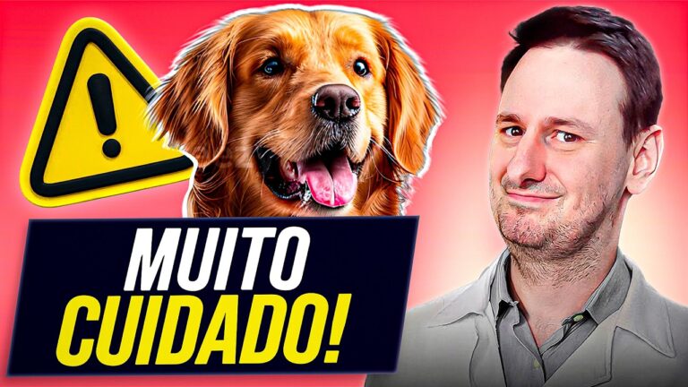 Raiva Humana: Sintomas, Transmissão e Como Prevenir